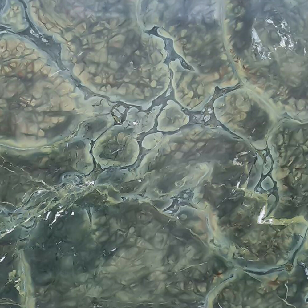 Victoria Regia Quartzite - Luxurious Green Quartzite | UK | www.work ...