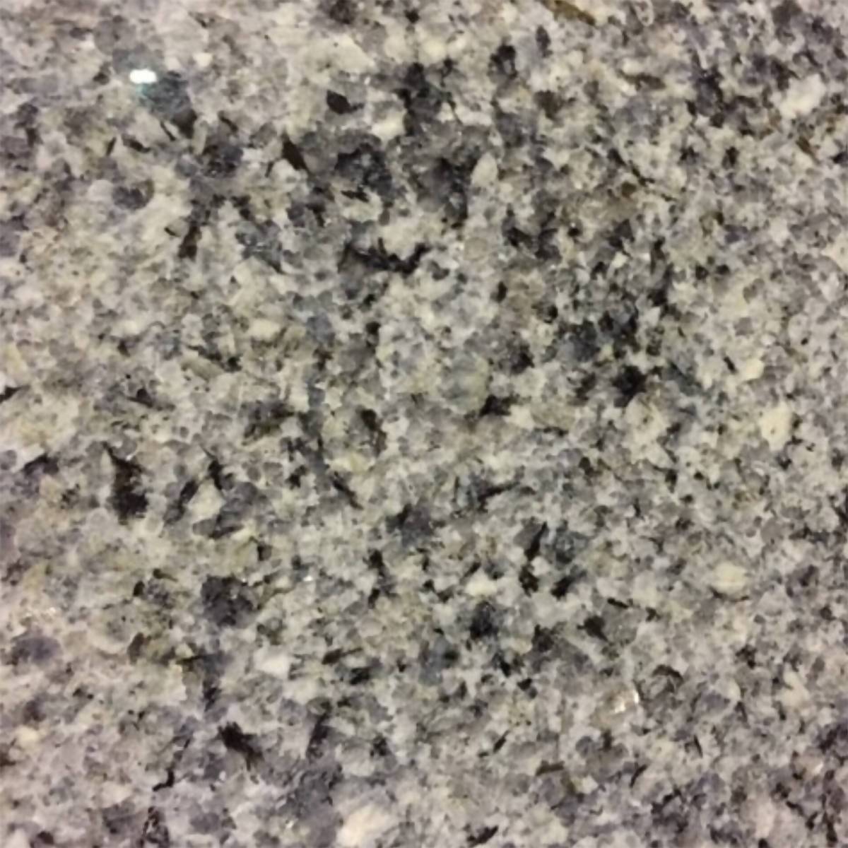 Gray Granite Countertops Texture 10 Best Granites That Look Like