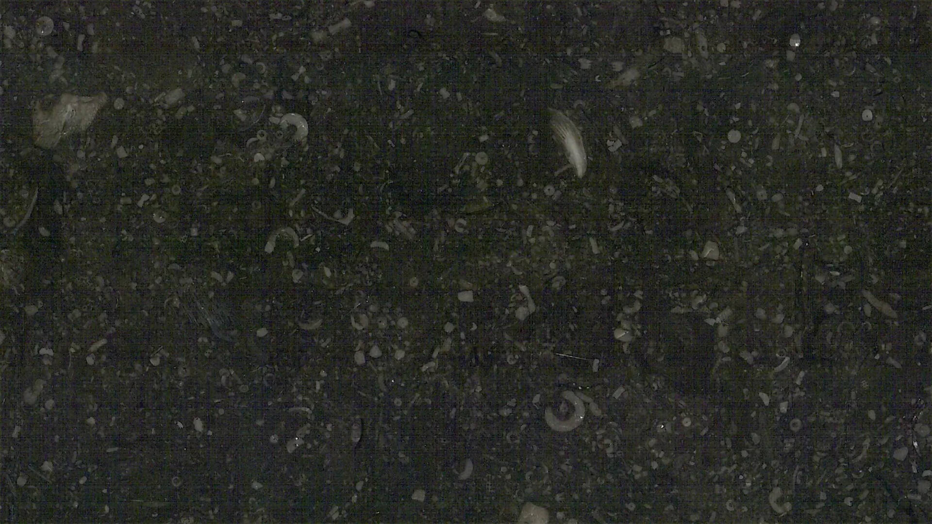 Belgian Super Honed Bluestone in UK| Dark Blue surface | www.work-tops.com