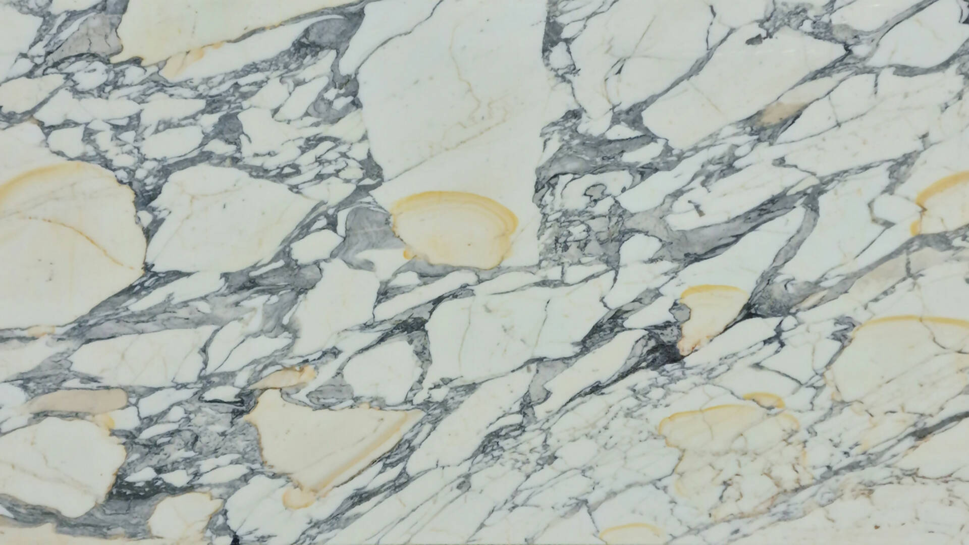 Calacatta Marble | www.work-tops.com