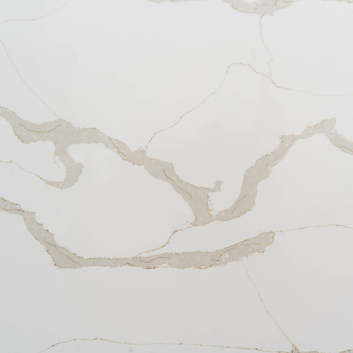 Calacatta Rio Quartz